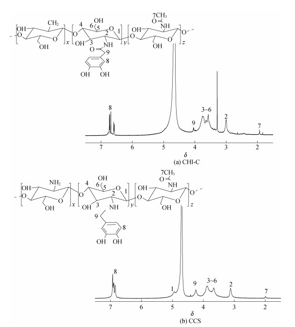Preparation and Characterization of Catechol Group Modified Chitosan ...