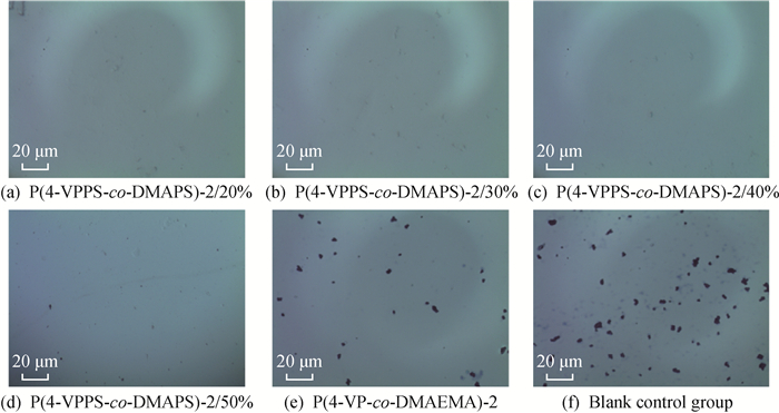 P(4-VPPS- co -DMAPS)两性离子共聚物膜的制备及表征