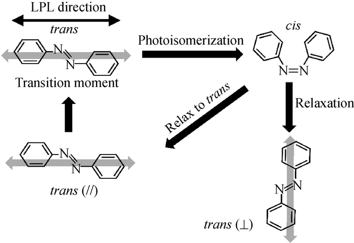 Research Advance in Photoinduced Chirality of Achiral Polymers