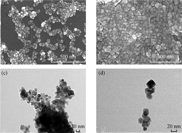 Preparation and Properties of Barium Titanate Nanoparticles Loaded ...