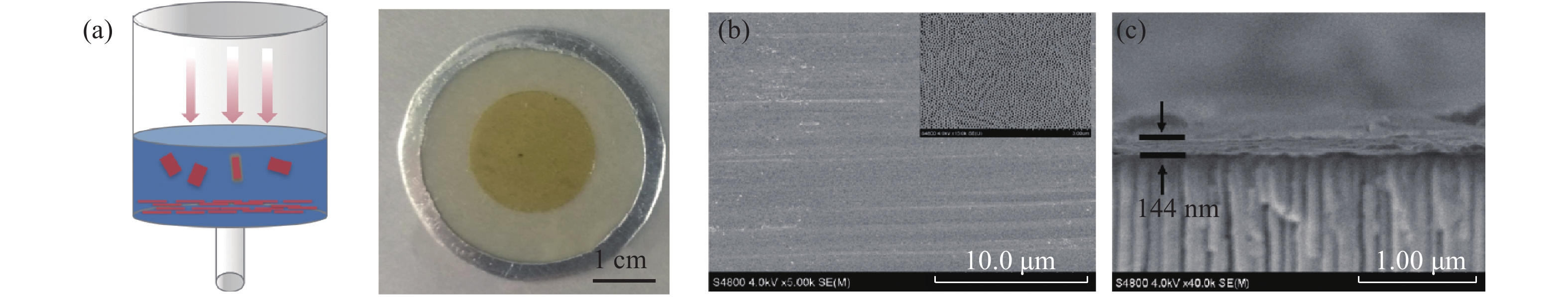 二维共价三嗪框架膜的制备及其分子分离性能