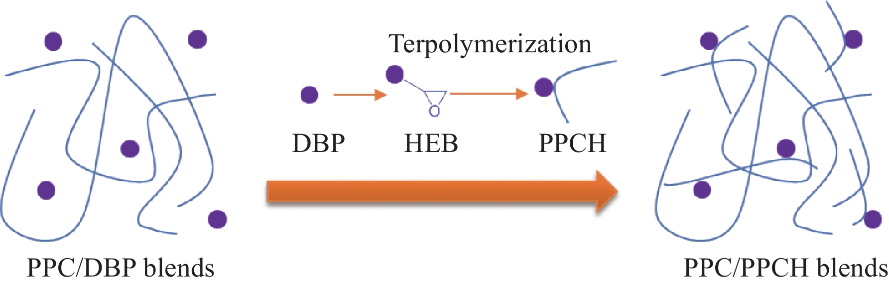 功能高分子学报