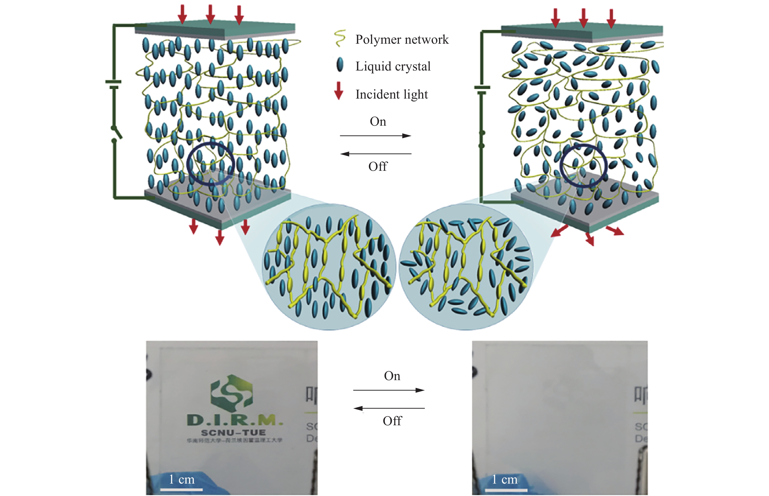 Research Advance in Polymer Stabilized Liquid Crystals