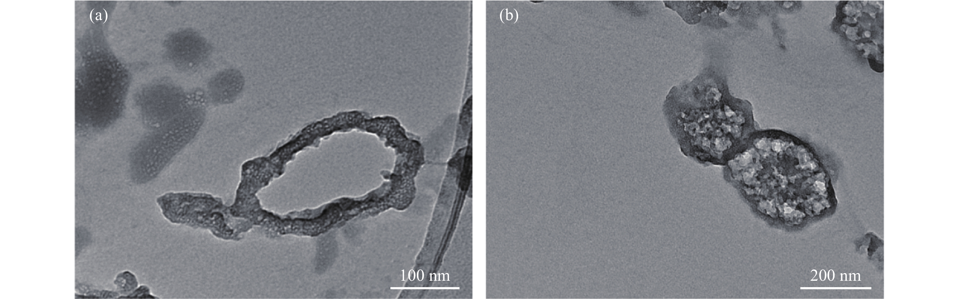 pH-磁双响应Janus笼