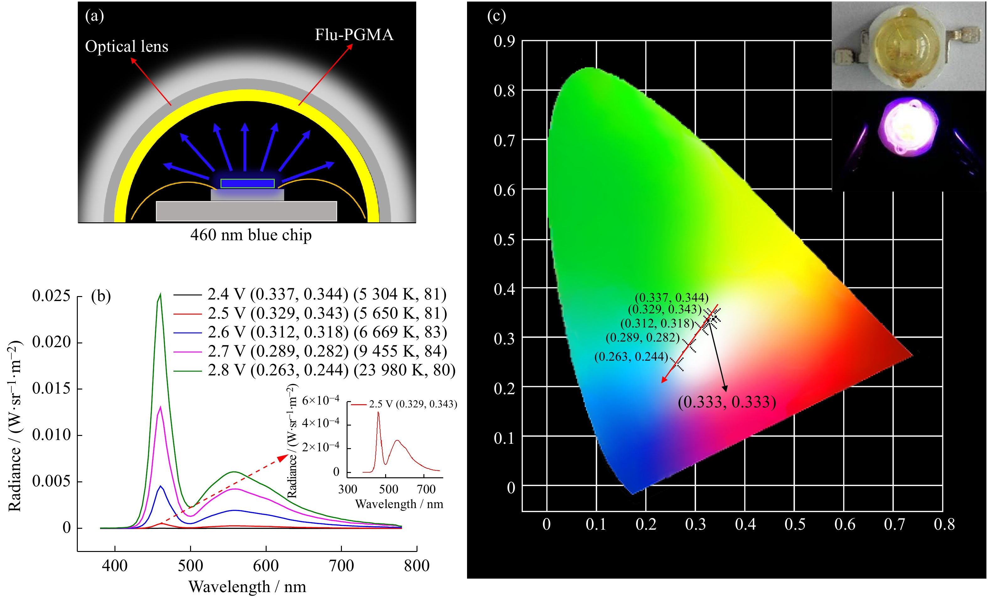 荧光素基PGMA的合成及其发光性能