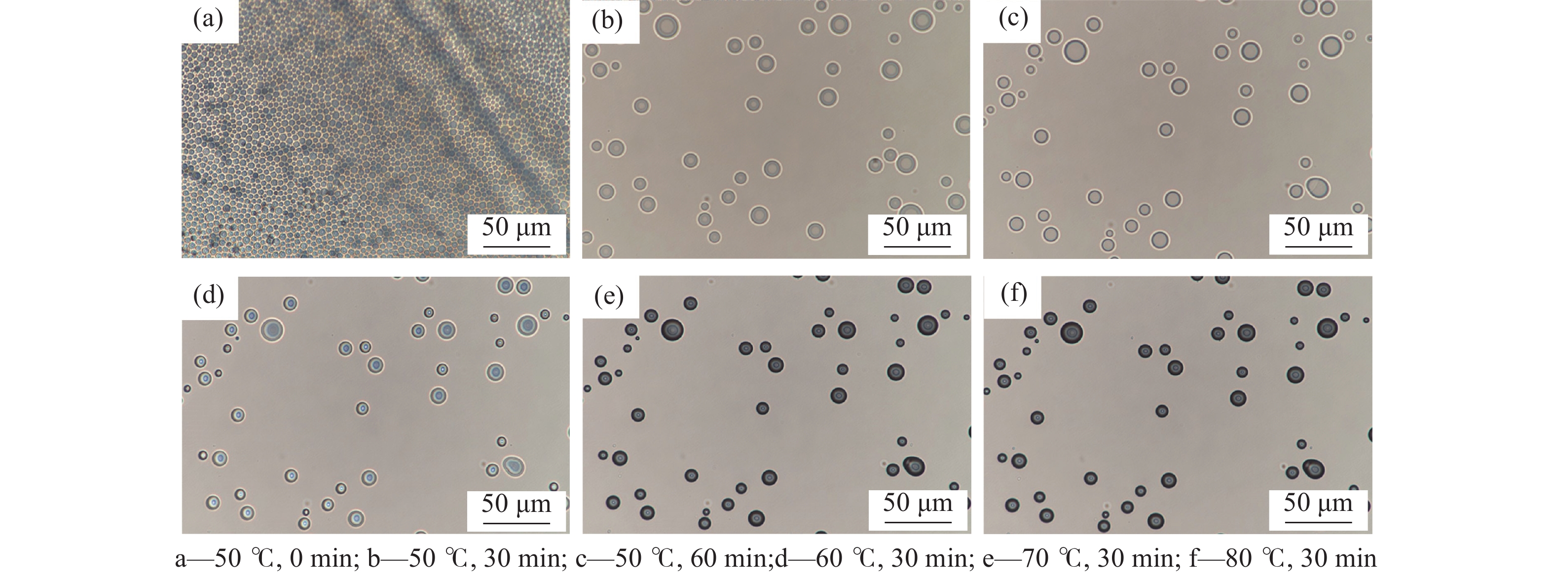 Phase Structure of Hyperbranched Epoxy Resin/Bisphenol A Epoxy Resin ...