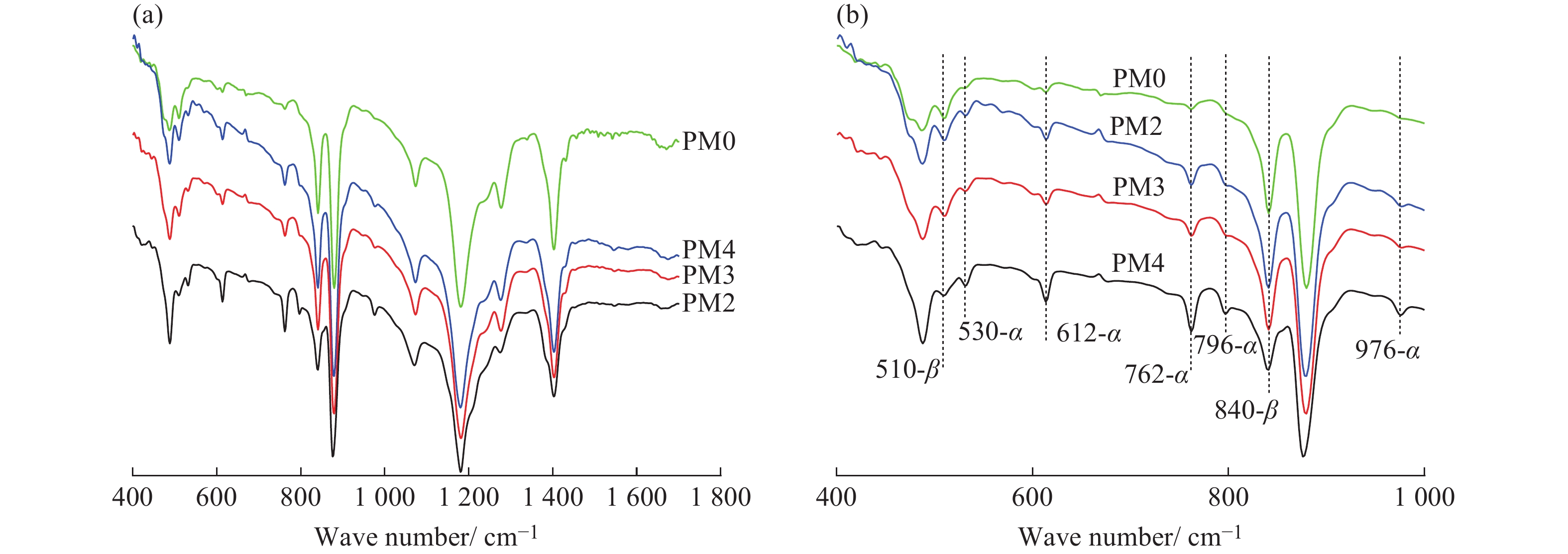 表面喷雾 N ， N -二甲基乙酰胺/水-浸没沉淀相转化法制备PVDF多孔膜的结构和性能