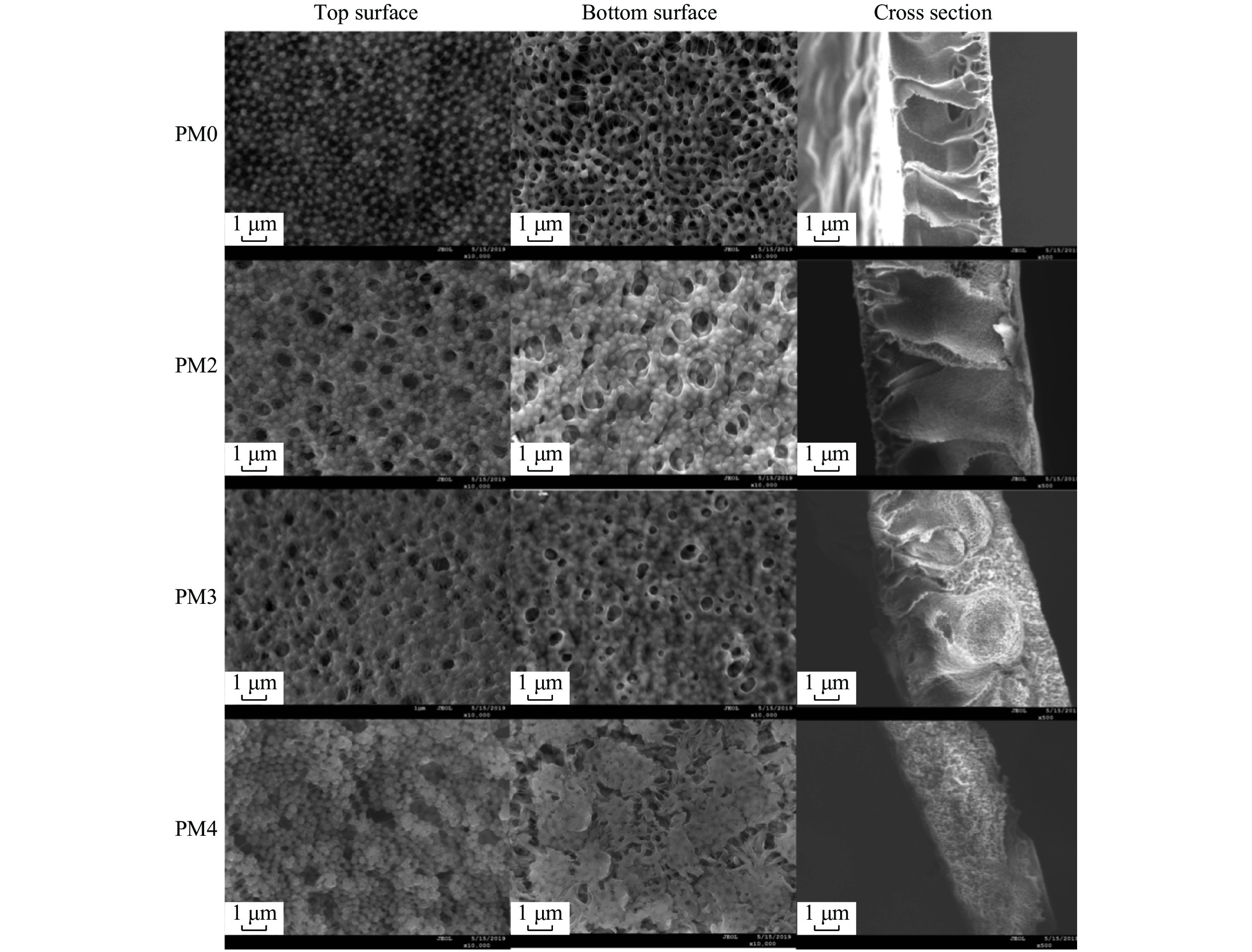表面喷雾 N ， N -二甲基乙酰胺/水-浸没沉淀相转化法制备PVDF多孔膜的结构和性能