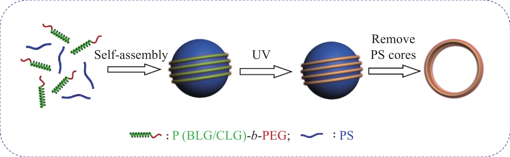 功能高分子学报