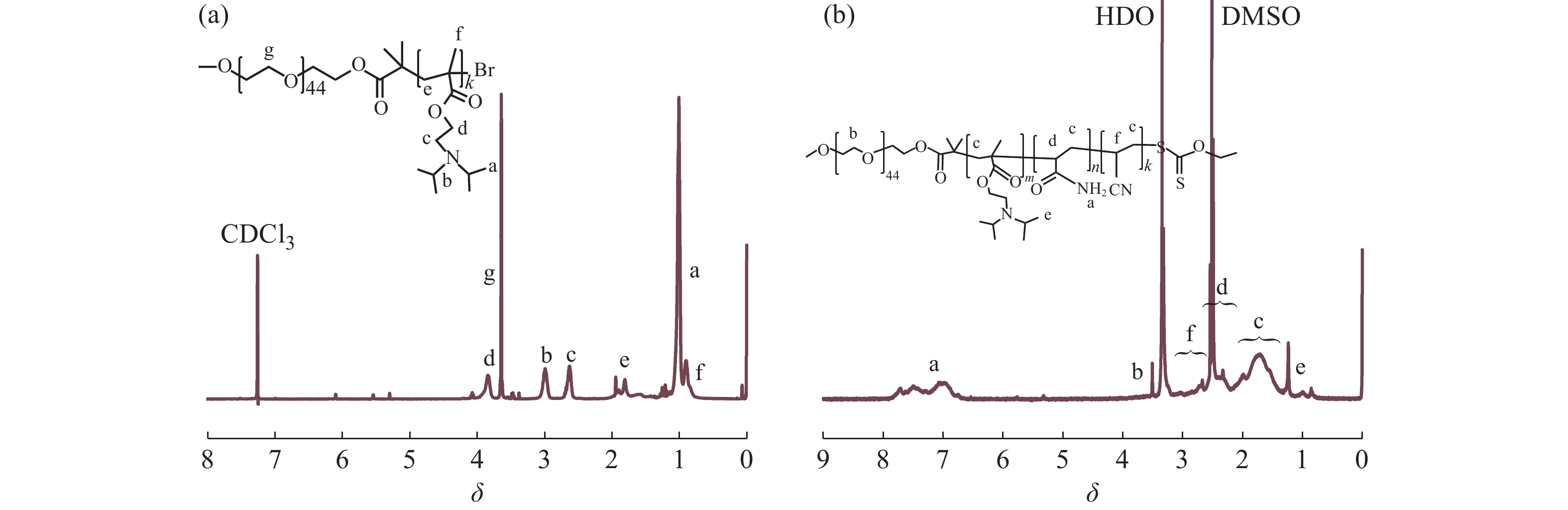 双重敏感mPEG-PDPA-P(AAm- co -AN)聚合物自组装体的药物递送