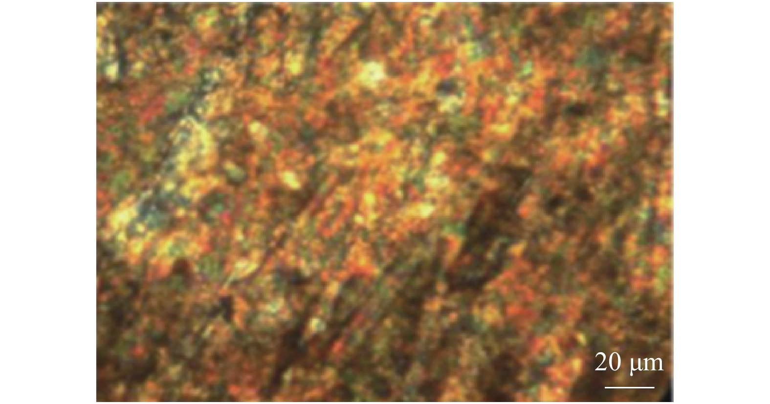 1,8-辛二酸改性热致液晶共聚酯的制备及其性能