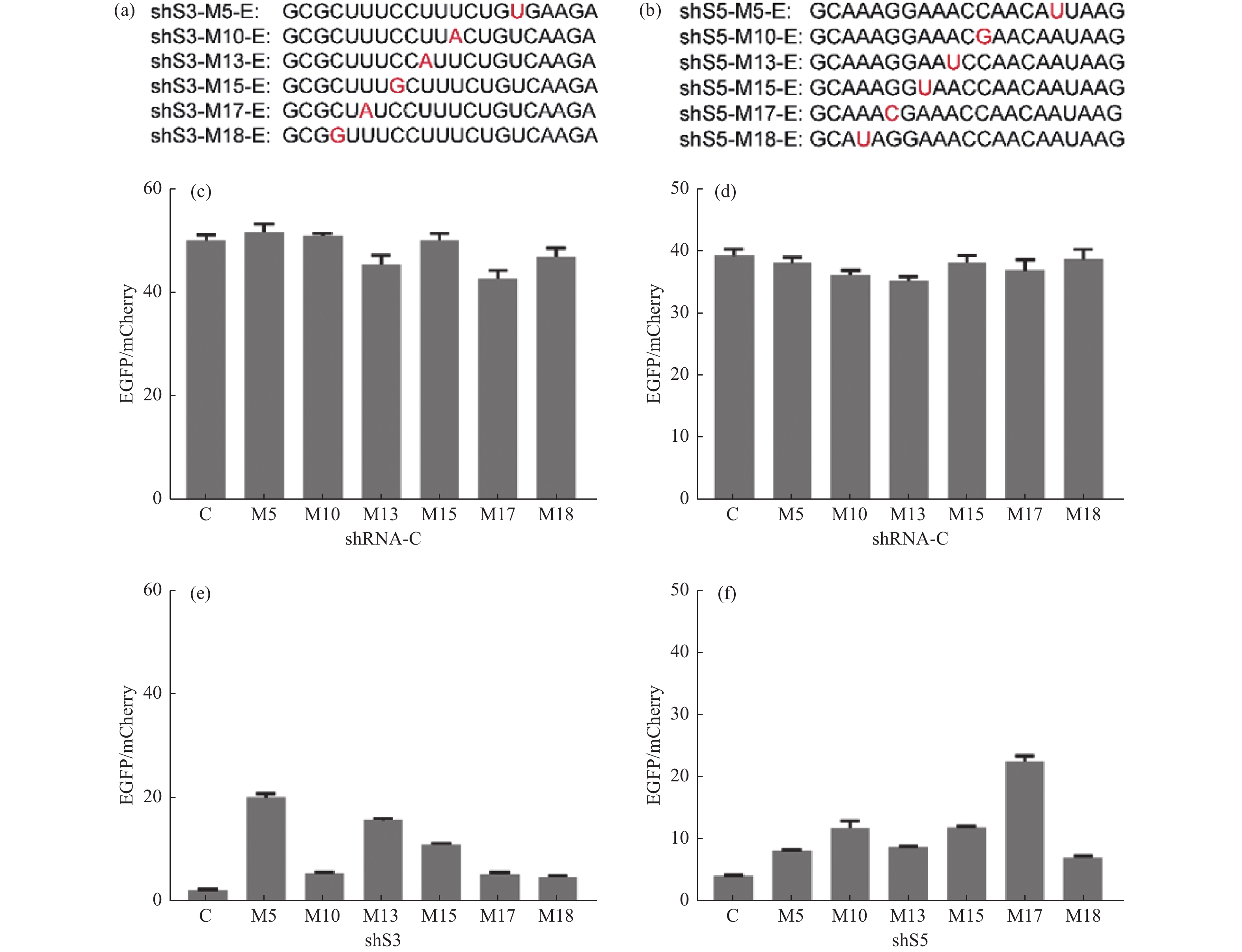 缩短shRNA的3′尾与靶标mRNA的配对降低脱靶效应