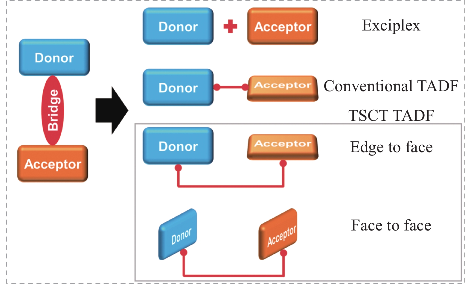 功能高分子学报