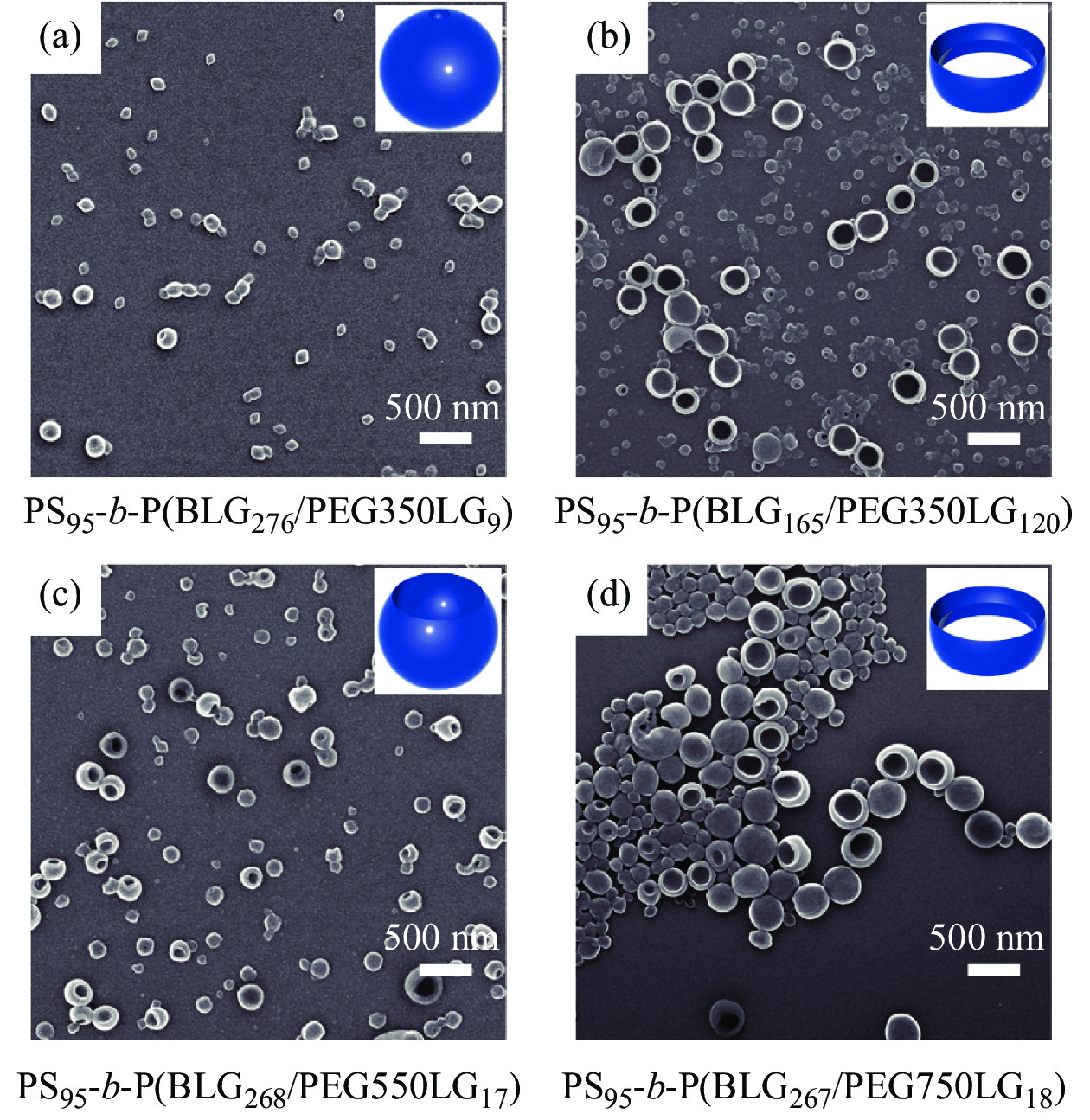 含有刚性聚肽亲溶剂链段的共聚物自组装行为